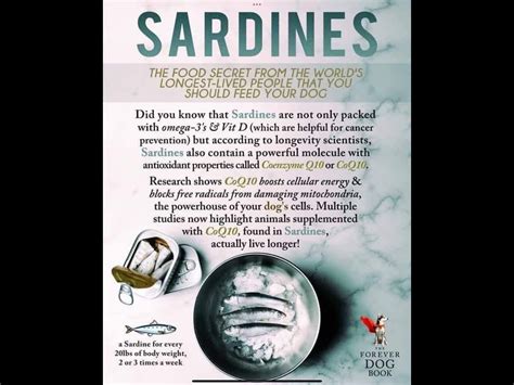 Food Sources Of L Methylfolate Artofit