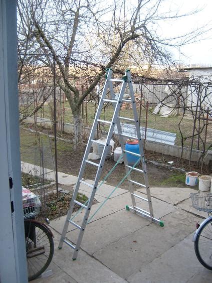 Scara Elisa Gradina Mea De Vis