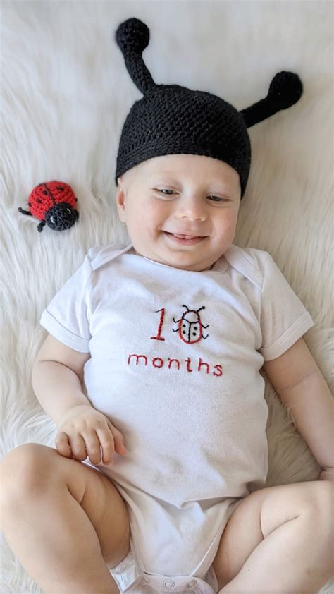 Crochet Ladybug Amigurumi Pattern Ladybug Keychain Easy Etsy