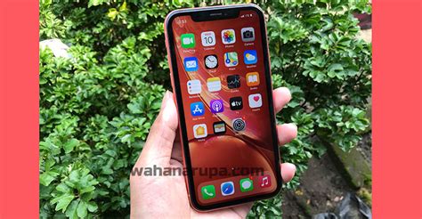 5 Cara Mengatasi IPhone Sering Mati Sendiri Wahanarupa