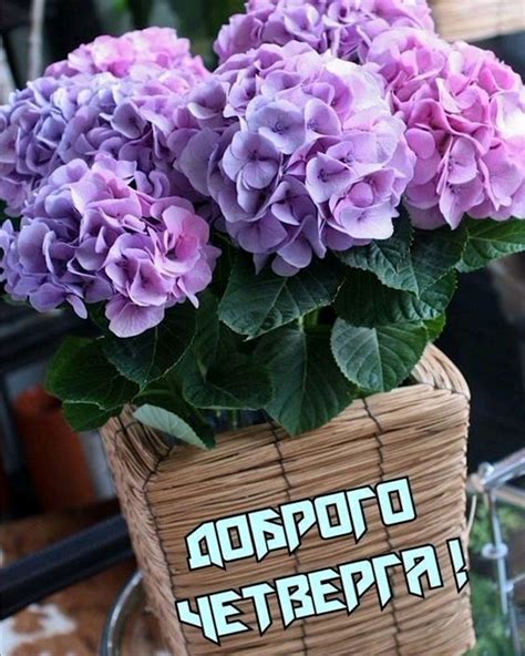 Доброе утро Четверга☀️ Пусть этот день будет наполнен счастьем Youtube