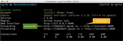 How To Use Ngrok Ngrok In Spring Boot And Nodejs Based Application