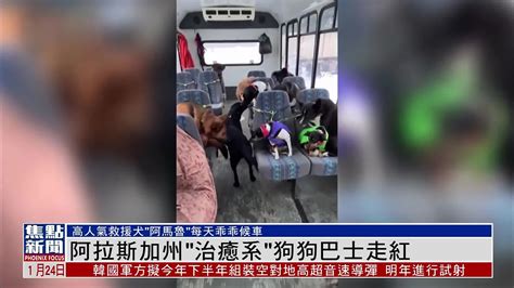 阿拉斯加州治愈系狗狗巴士走红 凤凰网视频 凤凰网