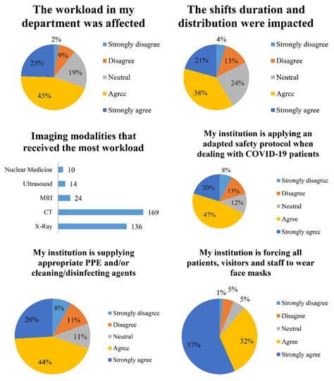 Pie Charts Summarizing The Questions Choices And Percentages
