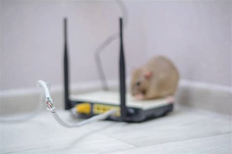 Sound Delay On Roku TV Quick Fixes For Audio Out Of Sync PointerClicker Com