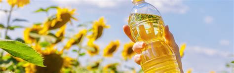 Edible Oil Refining