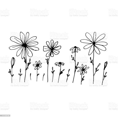 벡터 꽃 엽서 및 초대장 그림입니다 인쇄를 위한 도면 낙서 귀여운에 대한 스톡 벡터 아트 및 기타 이미지 귀여운 그리기 꽃 식물 Istock