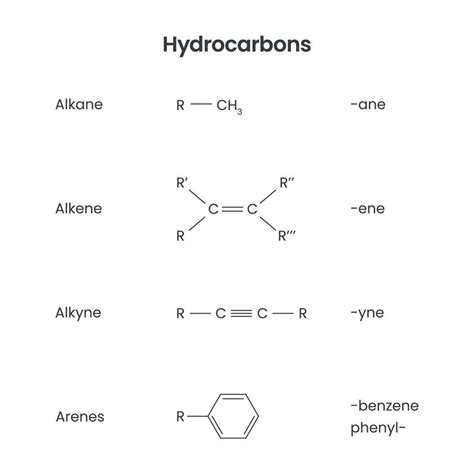 Hydrocarbon Functional Groups Biochemistry Science Vector Infographic 20953340 Vector Art At