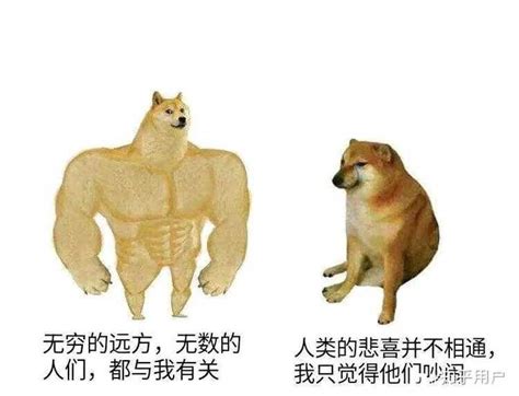有没有人推荐一下最近很火的两只狗狗的表情包？（如下图） 知乎