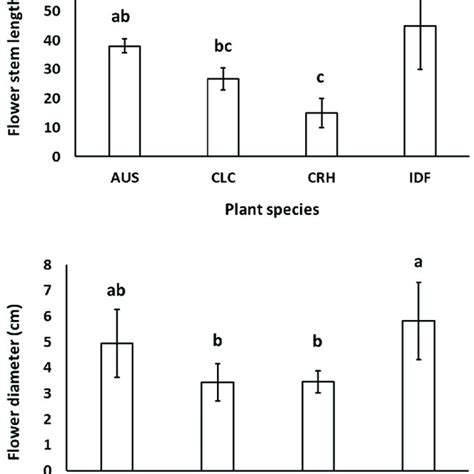 Mean Flower Stem Length And Flower Diameter Of Tulipa Australis Aus
