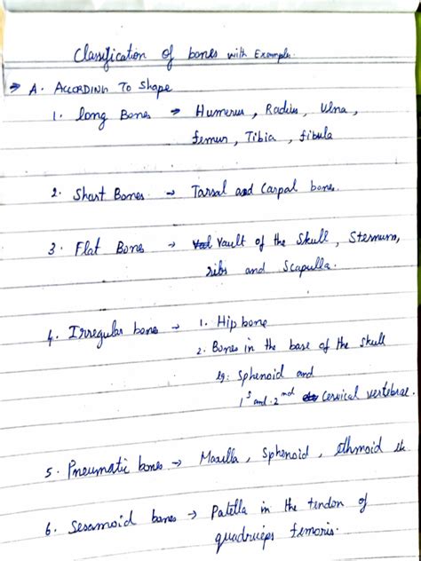 Bones Classification Examples Pdf