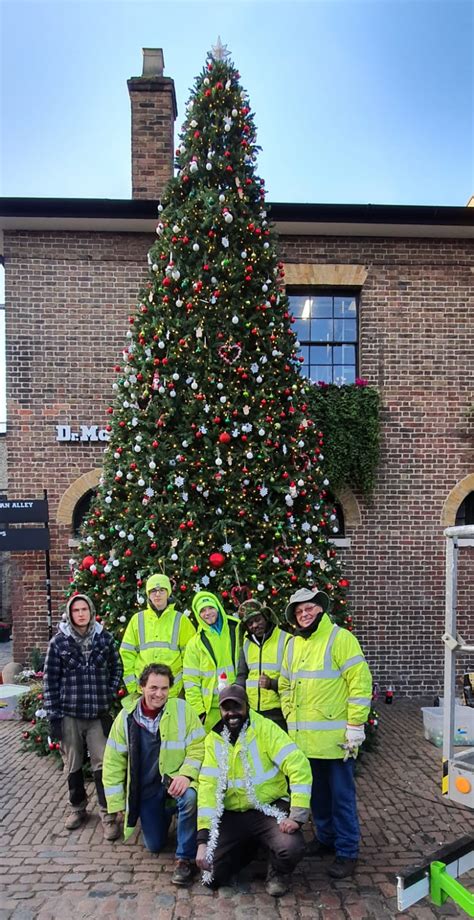 Commercial Christmas Trees Christmas Tree World