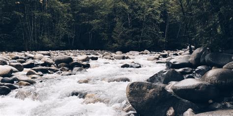 Conoce Más Sobre El Agua Cruda Rotoplas México