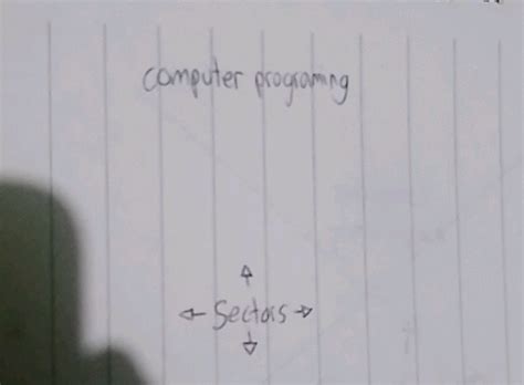 Computer Programing Sectars StudyX