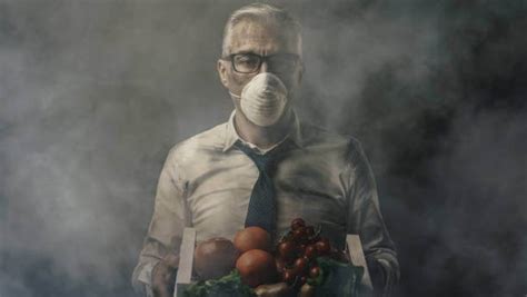 Toxins Got You Down The Hidden Link Between Toxins And Immune Health