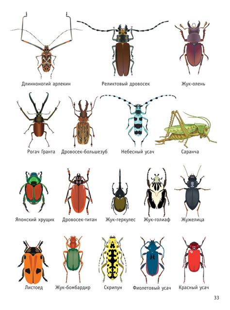 1000 умных картинок Что Зачем Почему Для самых маленьких