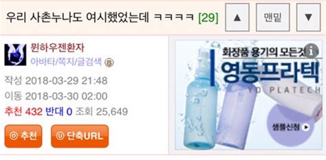 우리 사촌누나도 여시했었는데ㅋㅋㅋㅋㅋ 인스티즈 instiz 이슈 카테고리