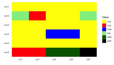 Plotting A Heatmap Out Of Common Value Matrix In R Stack Overflow