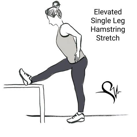 Standing Hamstring Stretch