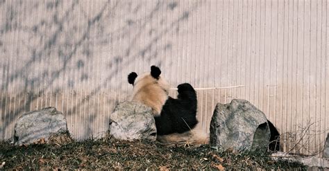 Casser Un Mur Porteur Conseils Et Prix Pour Transformer Votre