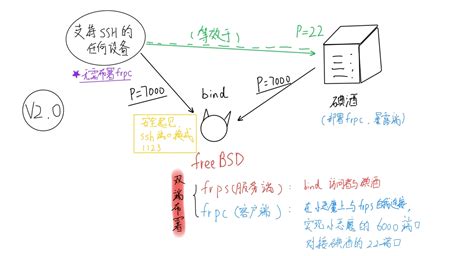 Stcp Of Frp For Ssh Meteor03 S Oxalis Garden