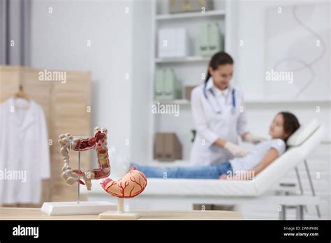 Gastroenterologist Examining Girl In Clinic Focus On Models Of Stomach And Intestine On Table
