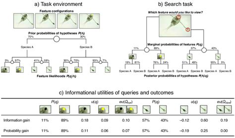 A Search And Classification Task With A Binary Hypothesis Species A