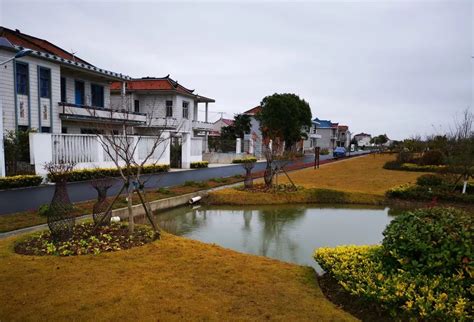 崇明岛横沙乡大山谷图库