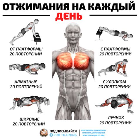 Отжимания на каждый день Комплекс упражнений для мышц груди плеч и трицепса Томаш Игорь