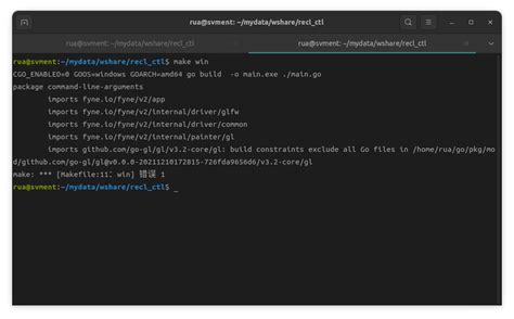 Fyne Build Constraints Exclude All Go Files In Build Constraints