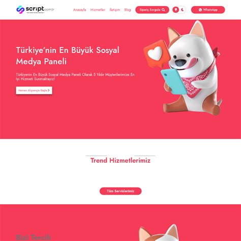 smm paket satış scripti smm paket satış yazılımı