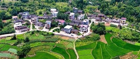 进位明显！通山县乡村振兴战略实绩考核获省委省政府通报表扬！产业保障湖北省委