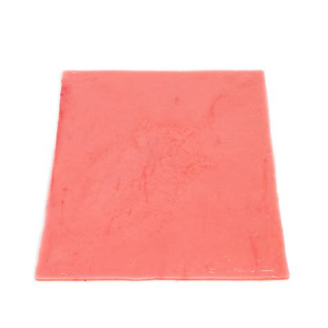 Bladder Tissue Sheet Lifelike Biotissue