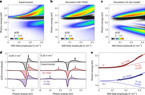 Optical Signatures Of The Field Driven Exciton Dynamics Ac Transient Download Scientific