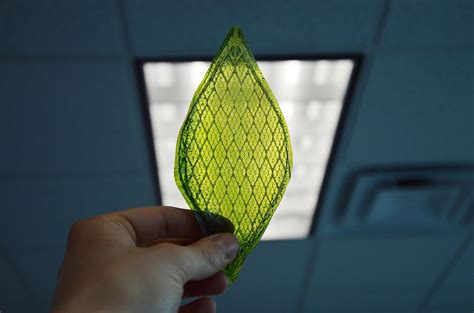Coming Soon To Your Landscape Artificial Leaves That Absorb 10x More