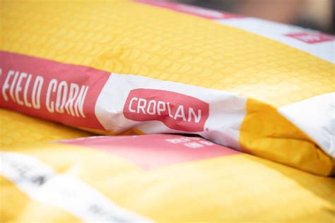 Croplan Seeds Agriculture Products