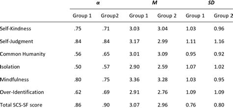 Cronbachs Alphas Means And Sds For The Subscale And Total Scores Of