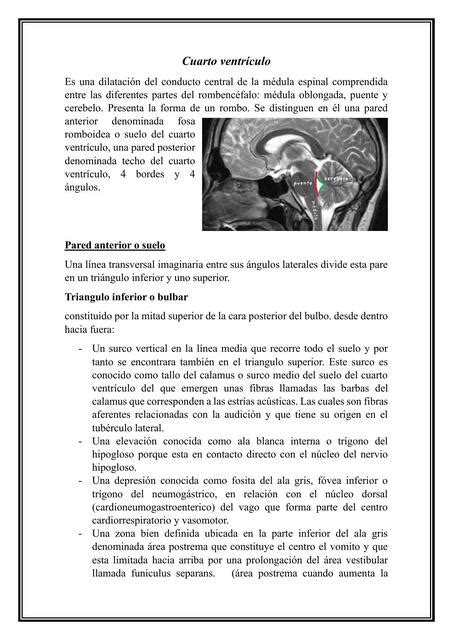 Cuarto Ventrículo Resumen Lia Udocz