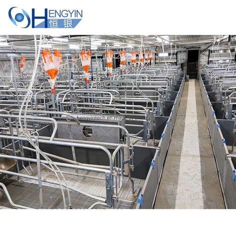 Pig Farrowing Crate Including Floor Farrowing Pen Crates Farm Equipment And Farrowing Crate Pig Farrowing Crate Including Floor Farrowing Pen Crates Farm Equipment And Farrowing Crate