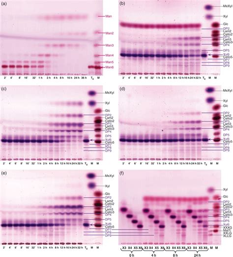 Streamlined Enzyme Screening Using Non Dialysed Extracts Details As In