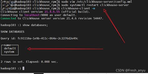 Centos7中clickhouse启动时报错code 210code 210 Dbnetexception