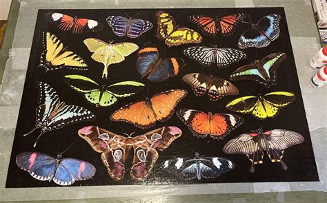 Winged Jewels 1500 Pieces Bufallo Small Potatoes To Some But The Biggest Puzzle Ive Ever