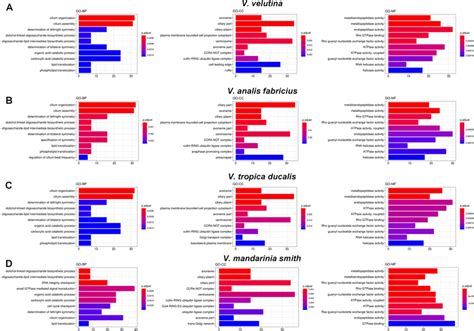 GO Enrichment Analysis Of Unigenes From The Gland Of Each Species A GO