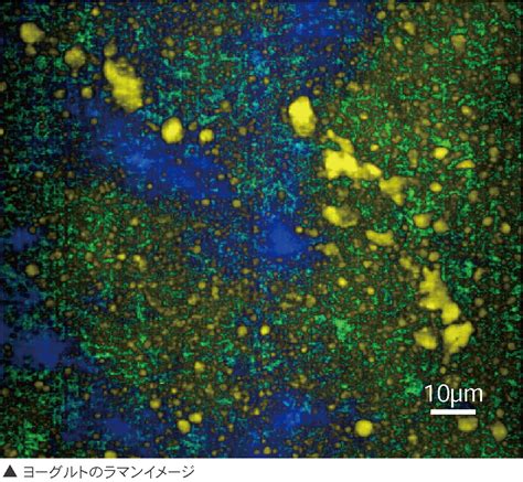 ラマン分光によるヨーグルトの成分分析 Nanophoton