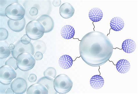 Precisely Controlled Cells Nanoparticles Conjugates Cd Bioparticles