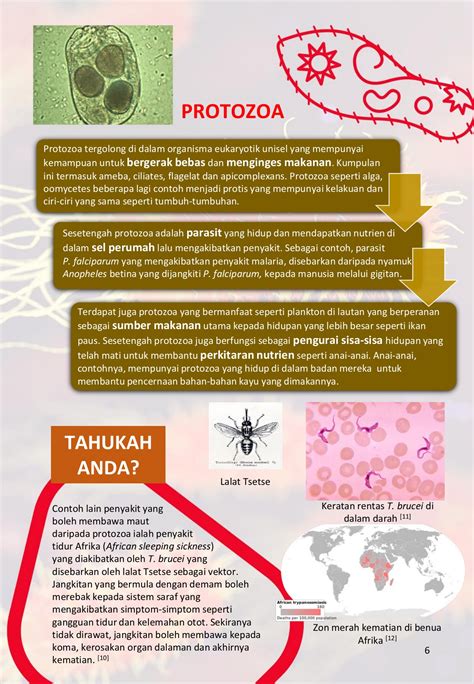 Final Mikrobfrwd Kenali Dunia Mikroskopik Amirul Adli Abd Aziz
