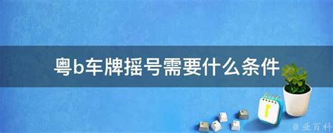 粤b车牌摇号需要什么条件 业百科