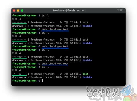 우분투 Ubuntu 22 04 Server Chmod 권한 변경 방법 Yeopbox