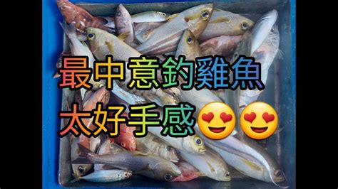 【香港艇釣精華】x 第51集22節 下午宋崗鯉魚門釣魚魚獲vlog ｜爆釣肥雞魚｜雜魚｜13112022 香港釣魚 釣魚