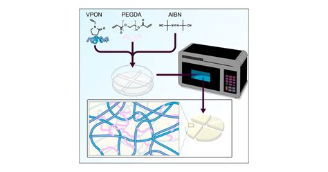 Photo Cross Linked Hydrogel Replication Of Small Objects A Multistep Final Project For